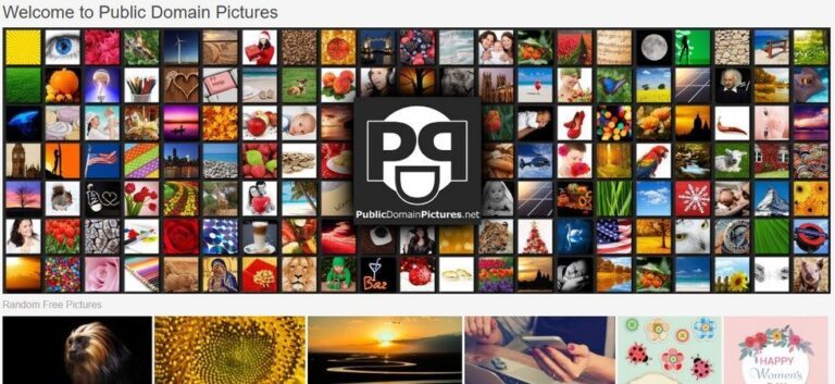 Top 50 des banques d'images libres de droits gratuites